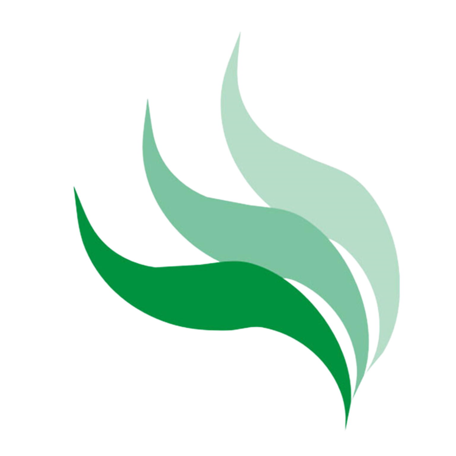 Attorneys – Montani Property Valuers